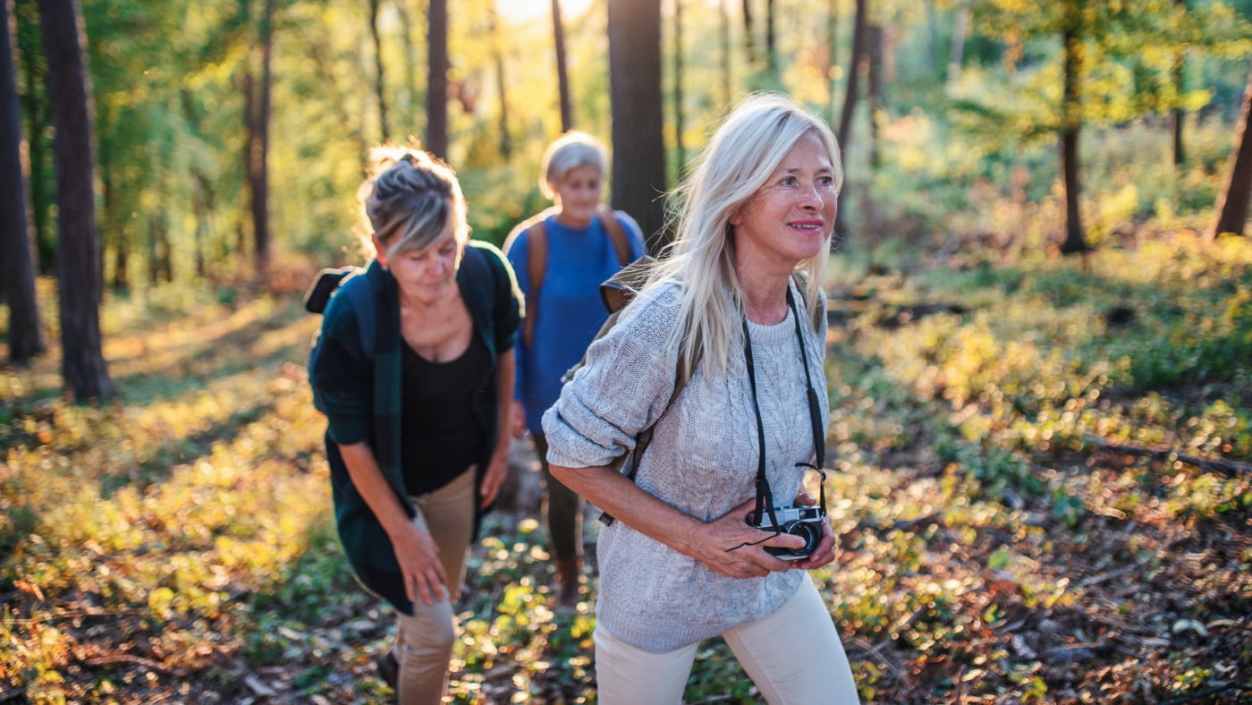 R.E.M.S Echolight Scans for Early Diagnosis of Osteoporosis – Juvent