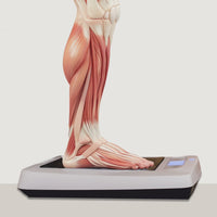 Juvent 1000N Micro-Impact Platform | Relieve Pain, Enhance Strength